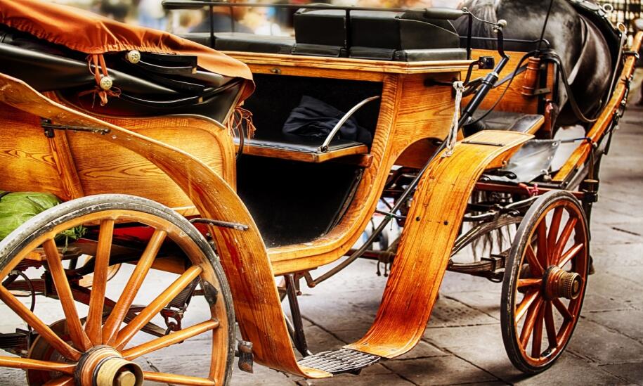 Budowa, zastosowanie i pochodzenie bryczek konnych