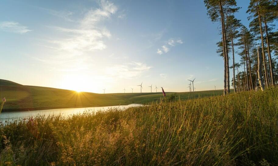 Jaka jest główna wada elektrowni wiatrowej?